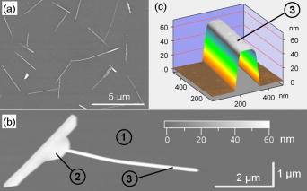 Surface effects on the elastic modulus of Te nanowires | Applied Physics Letters | AIP Publishing