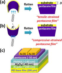 Bending-stress-driven phase transitions in pentacene thin films for ...