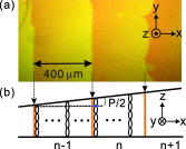 Spatial tuning of laser emission in a dye-doped cholesteric liquid ...
