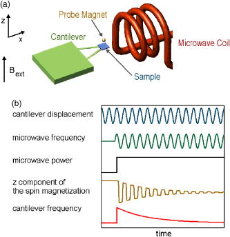 Manipulating spins by cantilever synchronized frequency modulation: A variable resolution ...