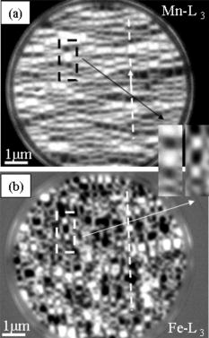 Imaging the antiparallel magnetic alignment of adjacent Fe and MnAs ...