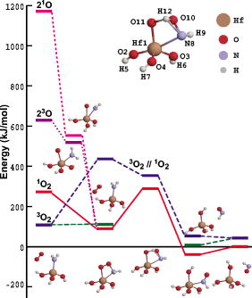 The reaction pathways of the oxygen plasma pulse in the hafnium oxide ...