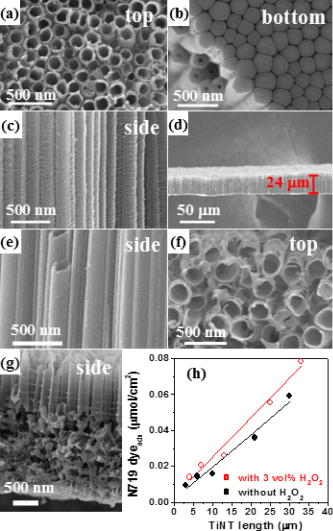 Rough conical-shaped TiO2-nanotube arrays for flexible backilluminated dye-sensitized solar ...