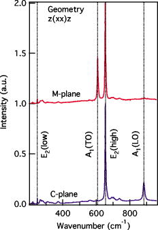 Different optical absorption edges in AlN bulk crystals grown in m- and ...