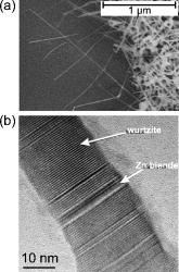 Defect-free ZnSe nanowire and nanoneedle nanostructures | Applied ...