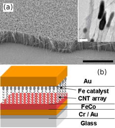 Iron nanoparticle driven spin-valve behavior in aligned carbon nanotube ...