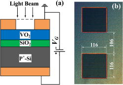 Gate-field-induced phase transitions in VO2⁠: Monoclinic metal phase ...