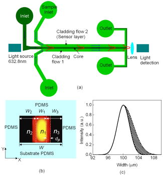 A liquid waveguide based evanescent wave sensor integrated onto a ...