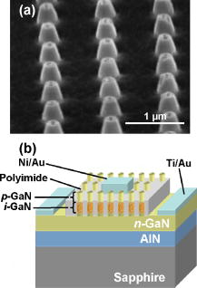 GaN nanostructured p-i-n photodiodes | Applied Physics Letters | AIP ...