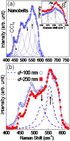 Surface optical Raman modes in InN nanostructures | Applied Physics ...