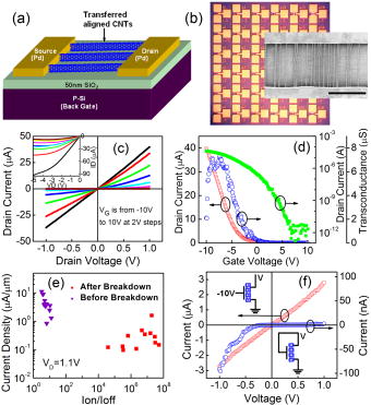 Device study, chemical doping, and logic circuits based on transferred ...