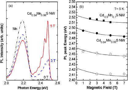 Magnetophotoluminescence and energy-dependent circular polarization ...