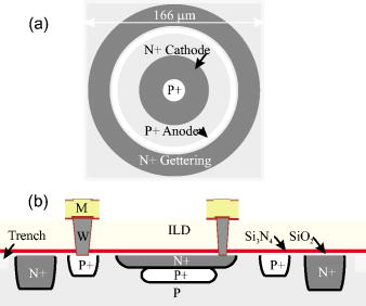 Room temperature single ion detection with Geiger mode avalanche diode ...