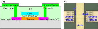 Self-aligned top-gate amorphous gallium indium zinc oxide thin film ...