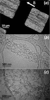 Imaging of magnetic colloids under the influence of magnetic field by ...