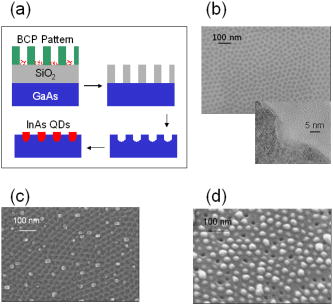 Infrared p-i-n photodiodes based on InAs quantum dots grown on 20 nm ...