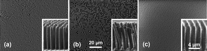 Characterization of microrod arrays by image analysis | Applied Physics ...