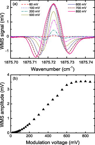 Direct and wavelength modulation spectroscopy using a cw external ...