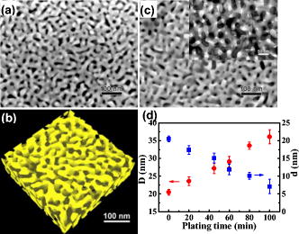 Geometric effect on surface enhanced Raman scattering of nanoporous ...