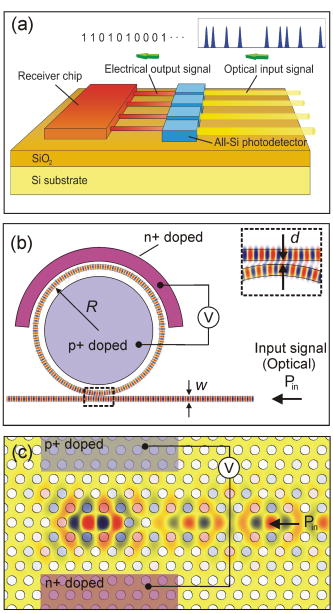 Ultrafast photodetection in an all-silicon chip enabled by two-photon ...