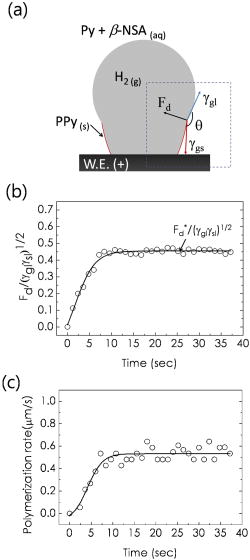 The microcontainer shape in electropolymerization on bubbles | Applied ...