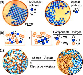 Phase separation of two-dimensional Coulombic crystals of mesoscale ...