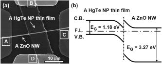A pn heterojunction diode constructed with a n-type ZnO nanowire and a ...