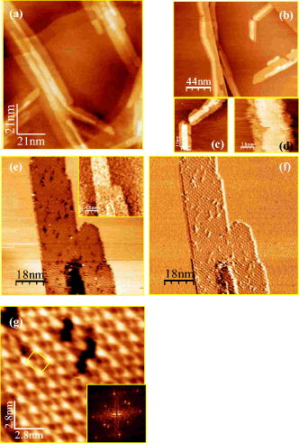 Dynamic scanning probe microscopy of adsorbed molecules on graphite ...