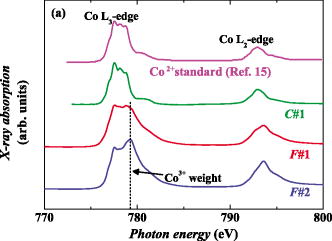 Electric polarization enhancement in multiferroic CoCr2O4 crystals with ...