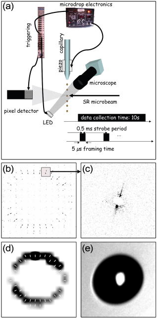 Studying macromolecular solutions without wall effects by stroboscopic small-angle x-ray ...