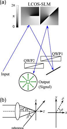 Vector holograms using radially polarized light | Applied Physics ...