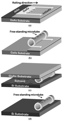 Optical microcavities on Si formed by self-assembled InGaAs/GaAs ...
