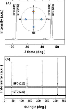 Low temperature hydrothermal epitaxy and Raman study of heteroepitaxial ...