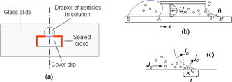 Continuous particle assembly in a capillary cell | Applied Physics ...