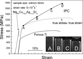 Mg-based metallic glass/titanium interpenetrating phase composite with ...