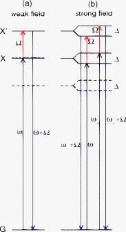Strong-field terahertz optical sideband generation for wavelength ...
