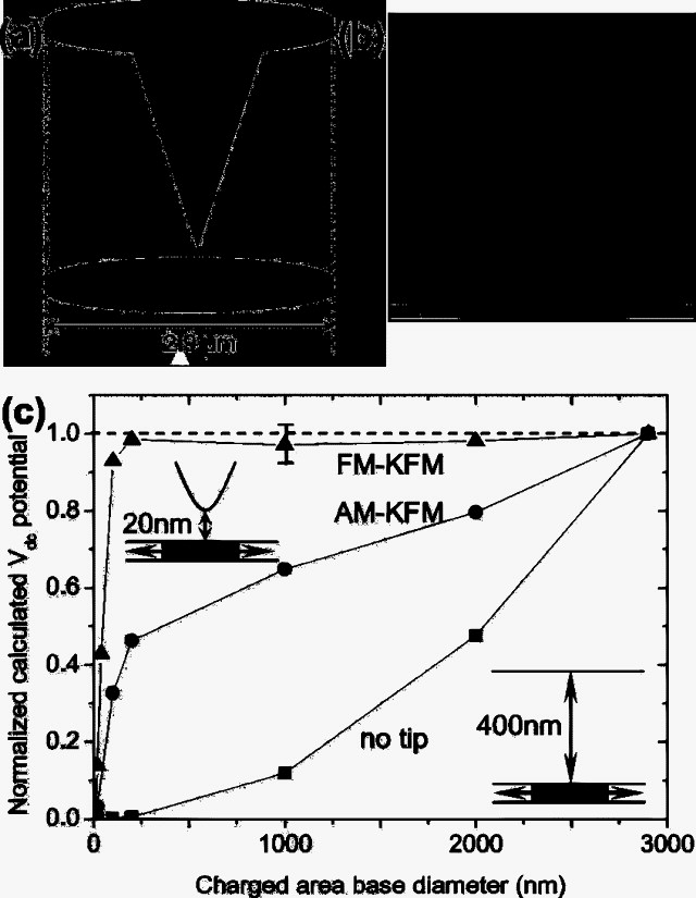 Calculating Kelvin force microscopy signals from static force fields ...