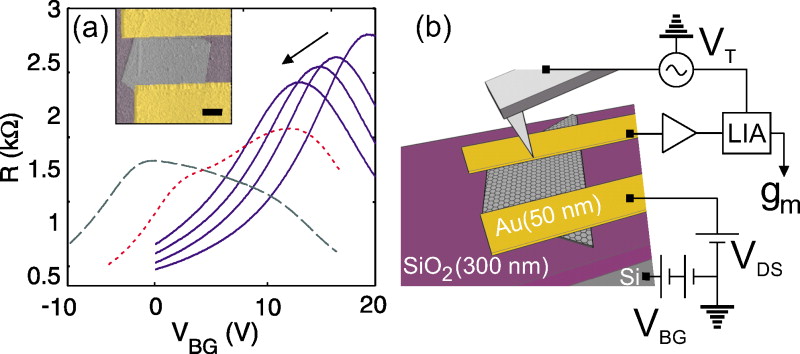 Scanning gate microscopy of current-annealed single layer graphene ...