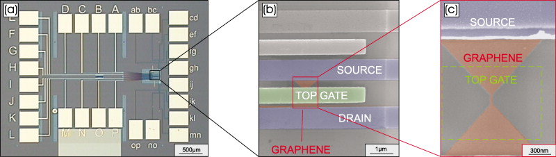 Electrical observation of a tunable band gap in bilayer graphene ...