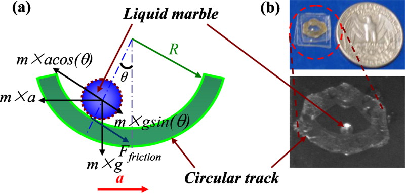 Dynamic behavior of a liquid marble based accelerometer | Applied ...