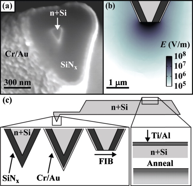Coaxial atomic force microscope tweezers | Applied Physics Letters ...