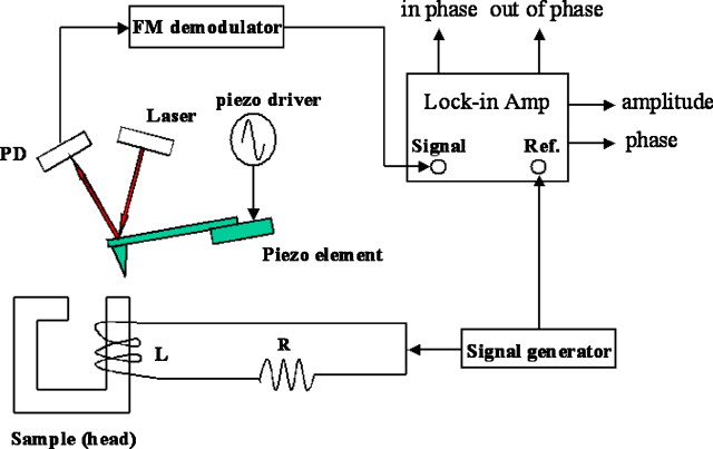 High resolution magnetic imaging of perpendicular magnetic recording ...