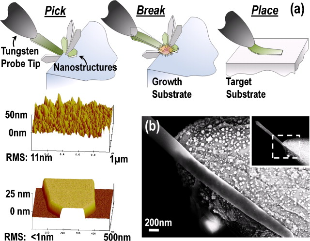 Pick, break, and placement of one-dimensional nanostructures for direct ...