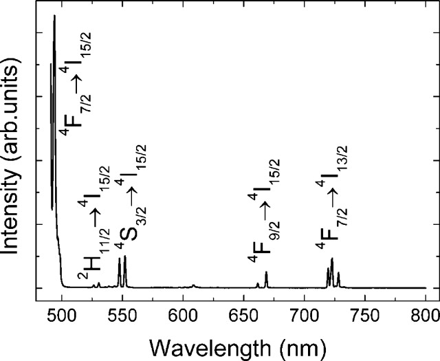 Efficient visible to infrared quantum cutting through downconversion ...