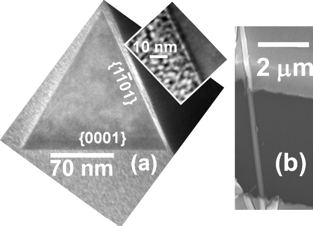 GaN nanowire surface state observed using deep level optical ...