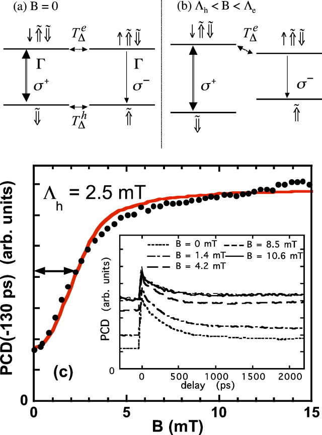 Electron and hole spin cooling efficiency in InAs quantum dots: The ...