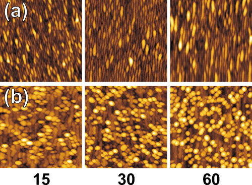 Influence of the As2/As4 growth modes on the formation of quantum dot ...