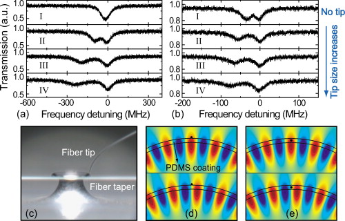 Scatterer induced mode splitting in poly(dimethylsiloxane) coated ...