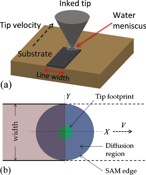 A surface diffusion model for Dip Pen Nanolithography line writing ...