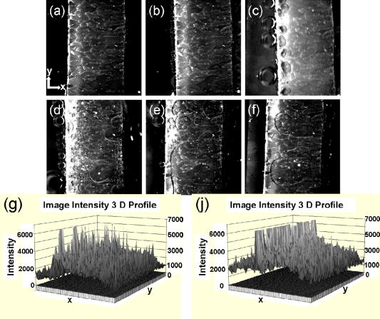 Visualization of the cation migration in ionic polymer-metal composite under an electric field ...